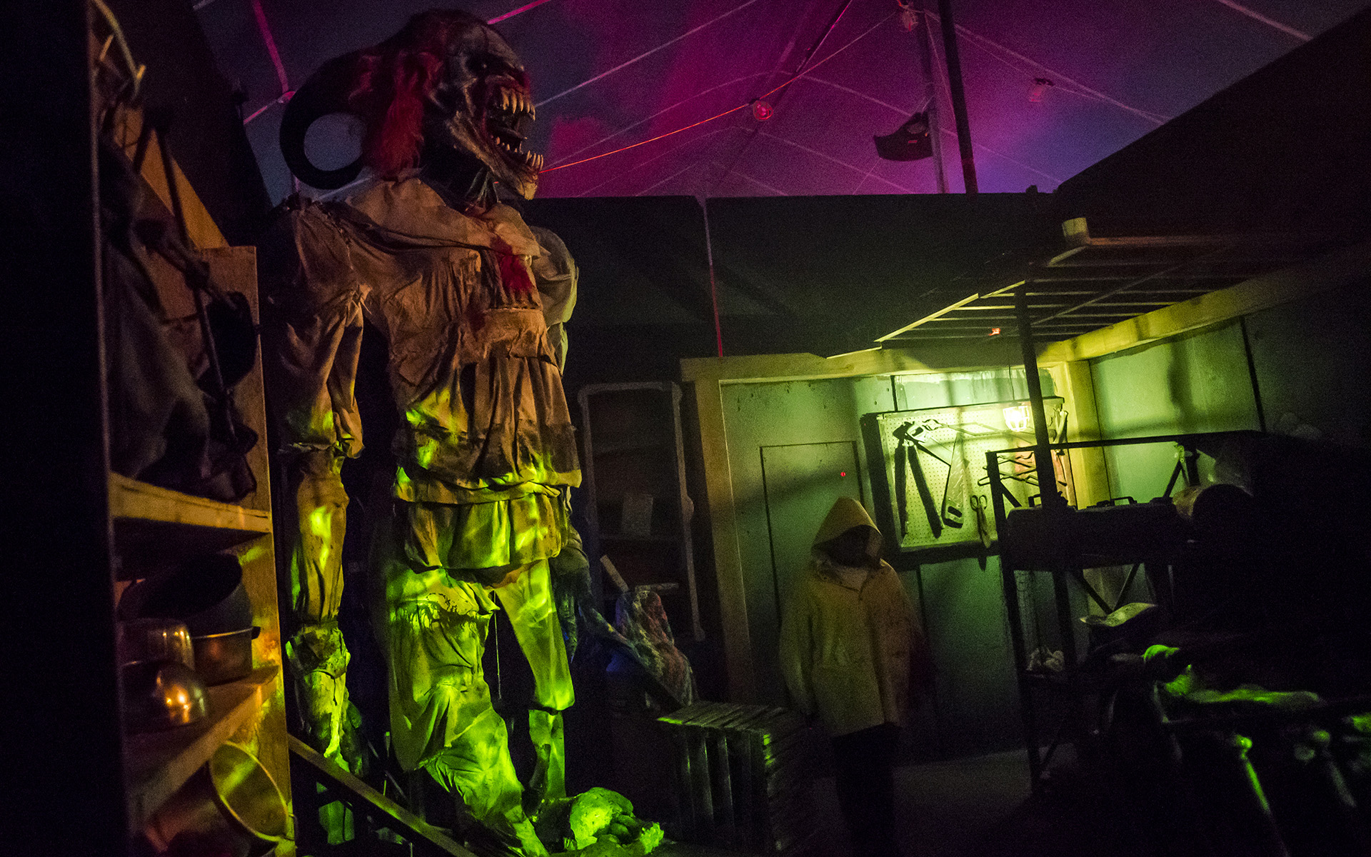 The Scream Zone - Q International School